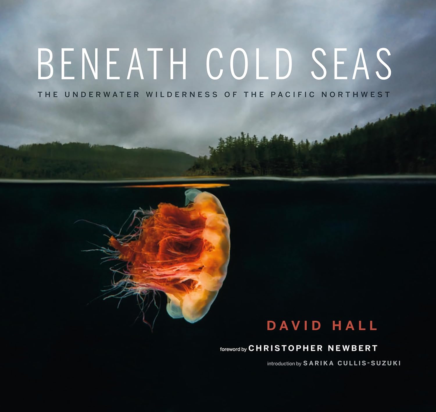 Beneath Cold Seas Review - Ocean Bliss Journeys