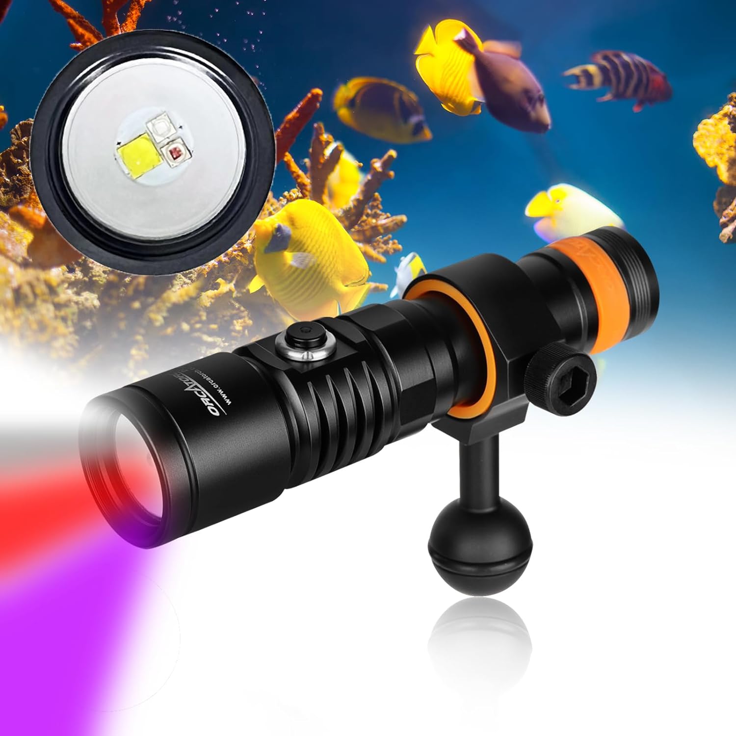 ORCATORCH D710V 2000 Lumens Video Light Review - Ocean Bliss Journeys