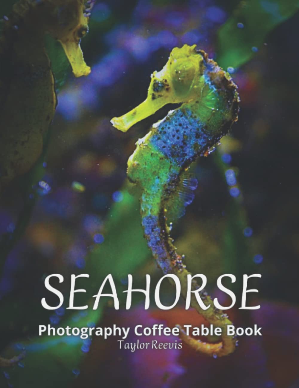 Seahorse Amazing Animal Underwater Photography Coffee Table Book Review ...