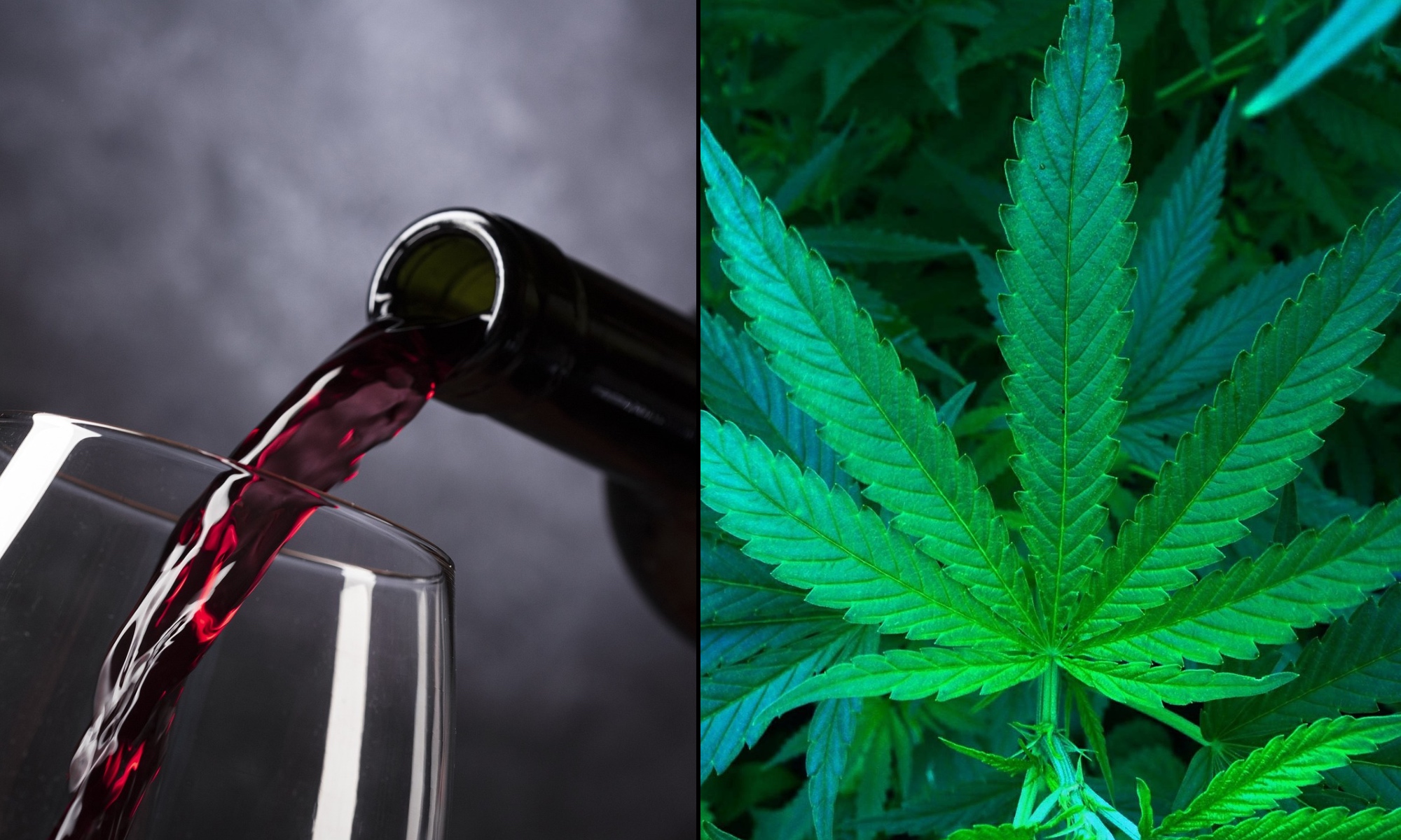 Can I Smoke Weed On A Carnival Cruise - Ocean Bliss Journeys